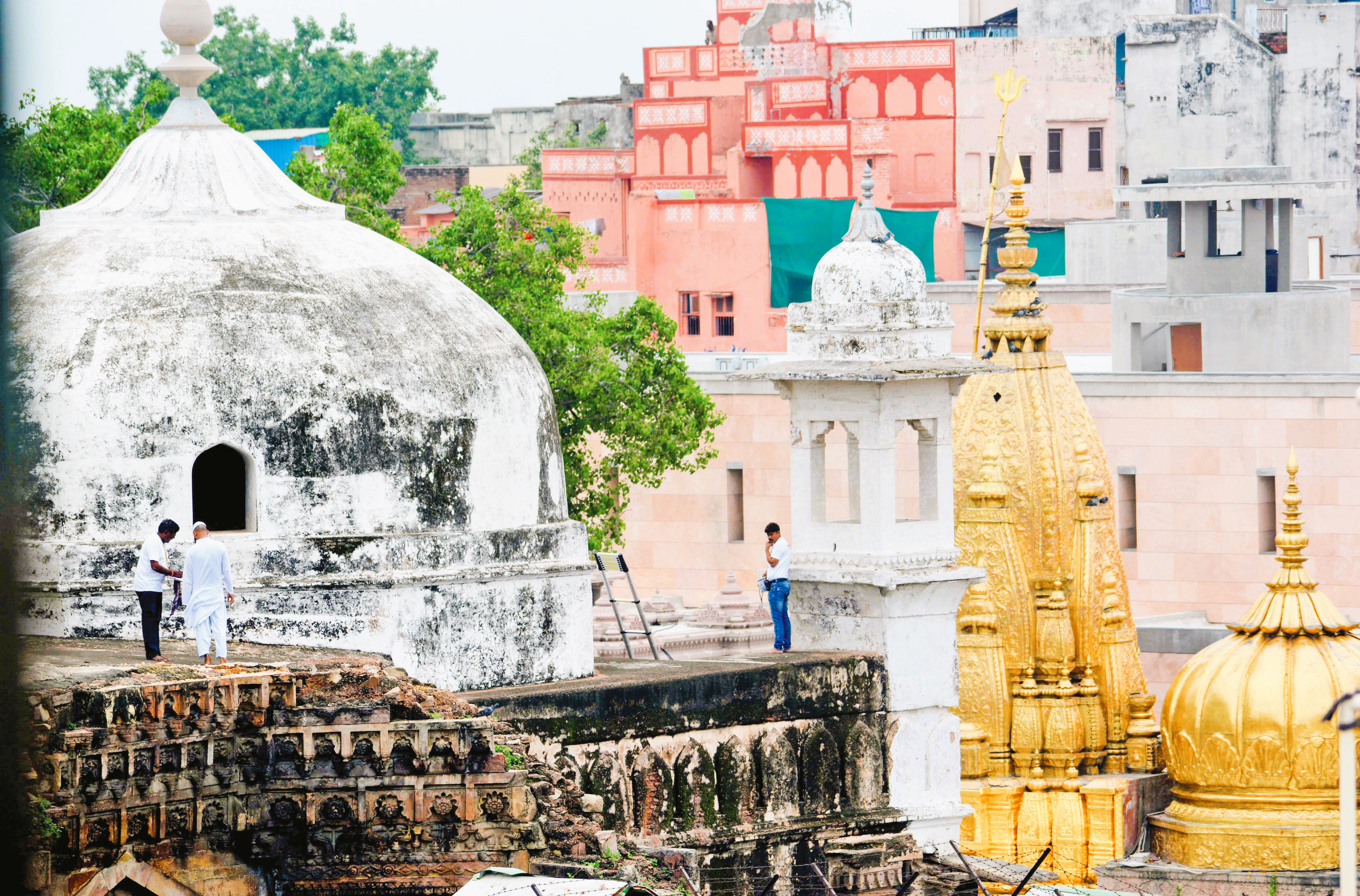 The Archaeological Survey of India’s findings on the Gyanvapi mosque ...