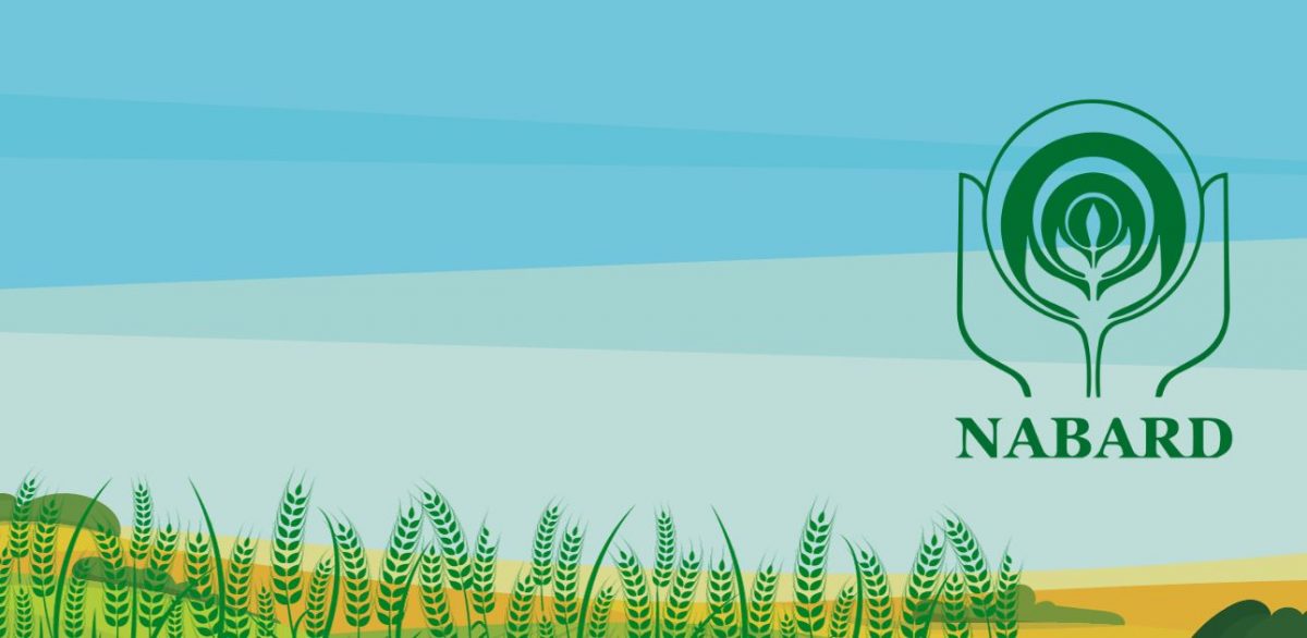NABARD: A Pillar of Rural Development in India – SOCIAL PERSPECTIVES