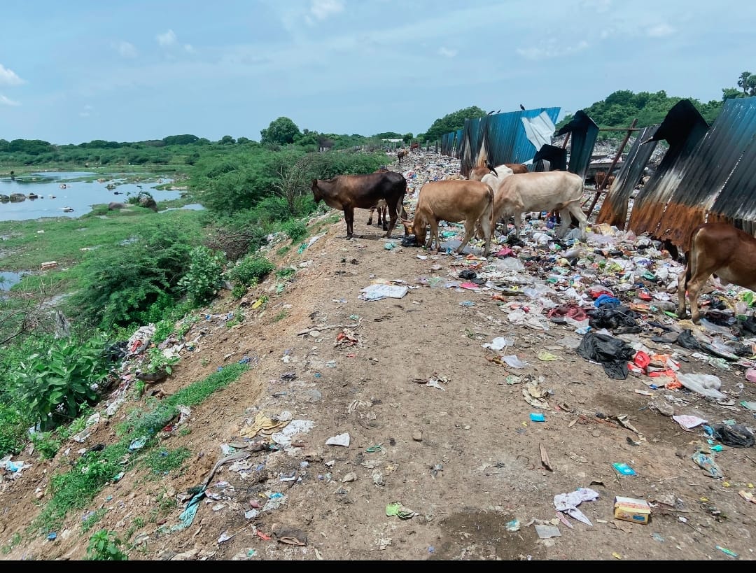 “Rural Rubbish Revolution: Pawan Kalyan’s Waste-to-Wealth Masterplan ...