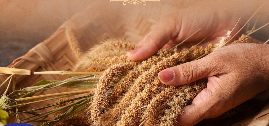 “Zaid & the Sunny Side Up: India’s Summer Crops Are Sizzling Their Way ...