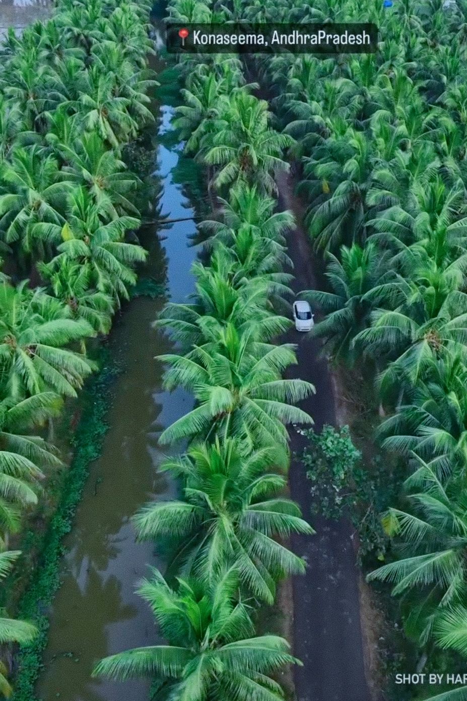 Konaseema: The Sleeping Giant That Will Outshine Kerala’s Backwaters – SOCIAL PERSPECTIVES