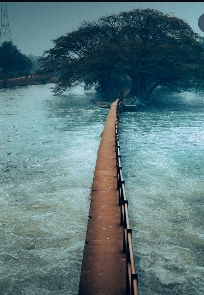 Konaseema: The Sleeping Giant That Will Outshine Kerala’s Backwaters ...